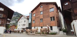 Home :: Hotel Elmer
